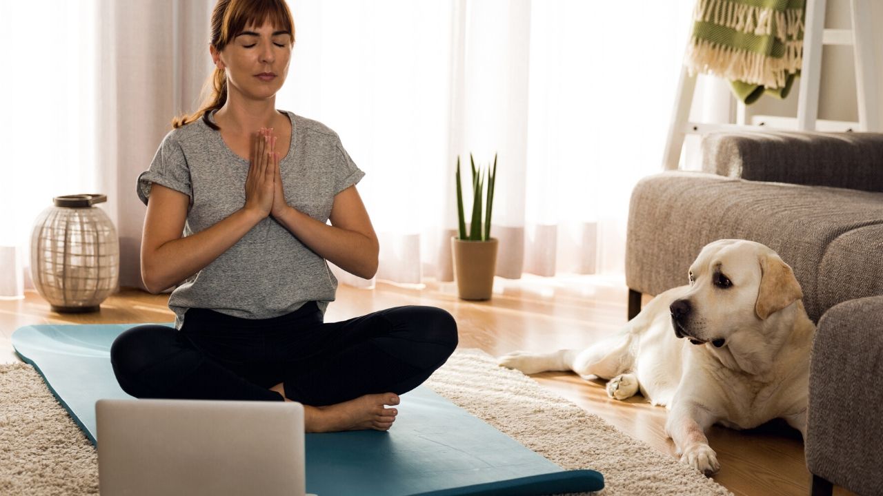 BLOG | Meditación Perros | Meditación Gatos | Dog and Yoga